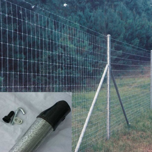 Verkkoaita suuresta valikoimasta | Netrauta.fi