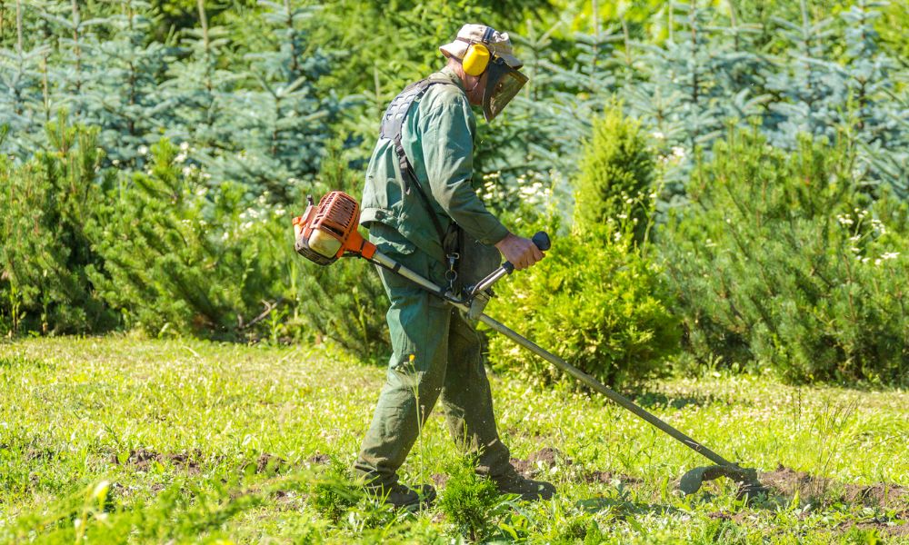 Parhaat trimmerit – Kokemuksia ja vertailu